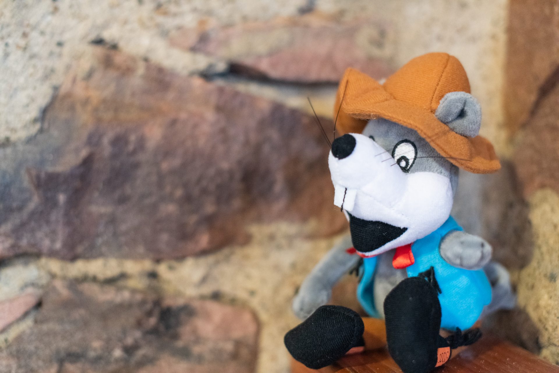 Meet the Creative: Randy Christensen | 605 Magazine