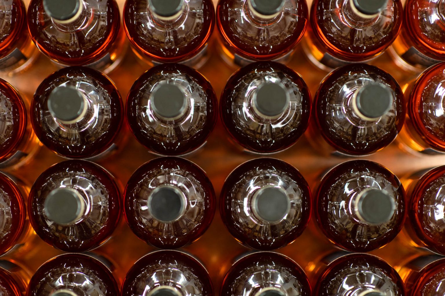 Bickering, Brothers, & Booze | 605 Magazine