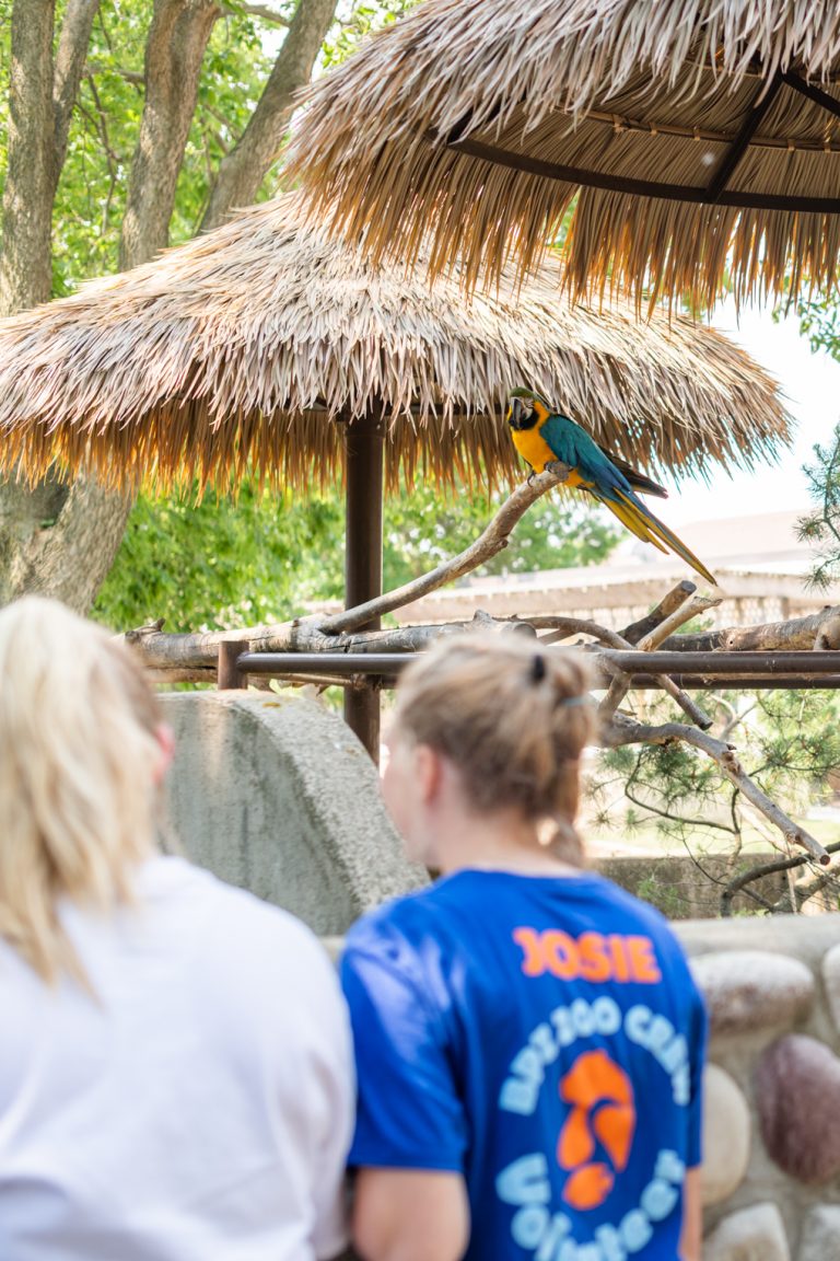 Over 100 Years of Wildlife in Watertown | Bramble Park Zoo | 605 Magazine