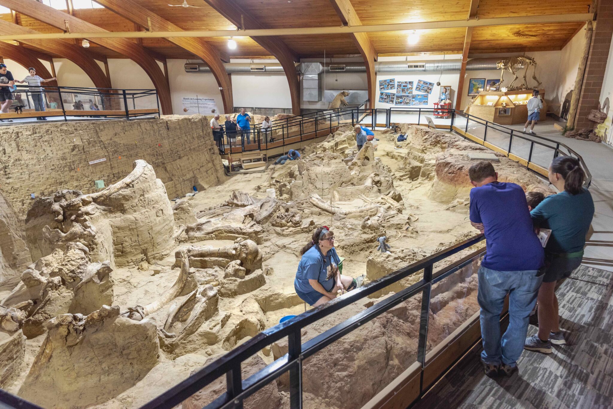 5 Things You Cannot Miss When Visiting The Mammoth Site