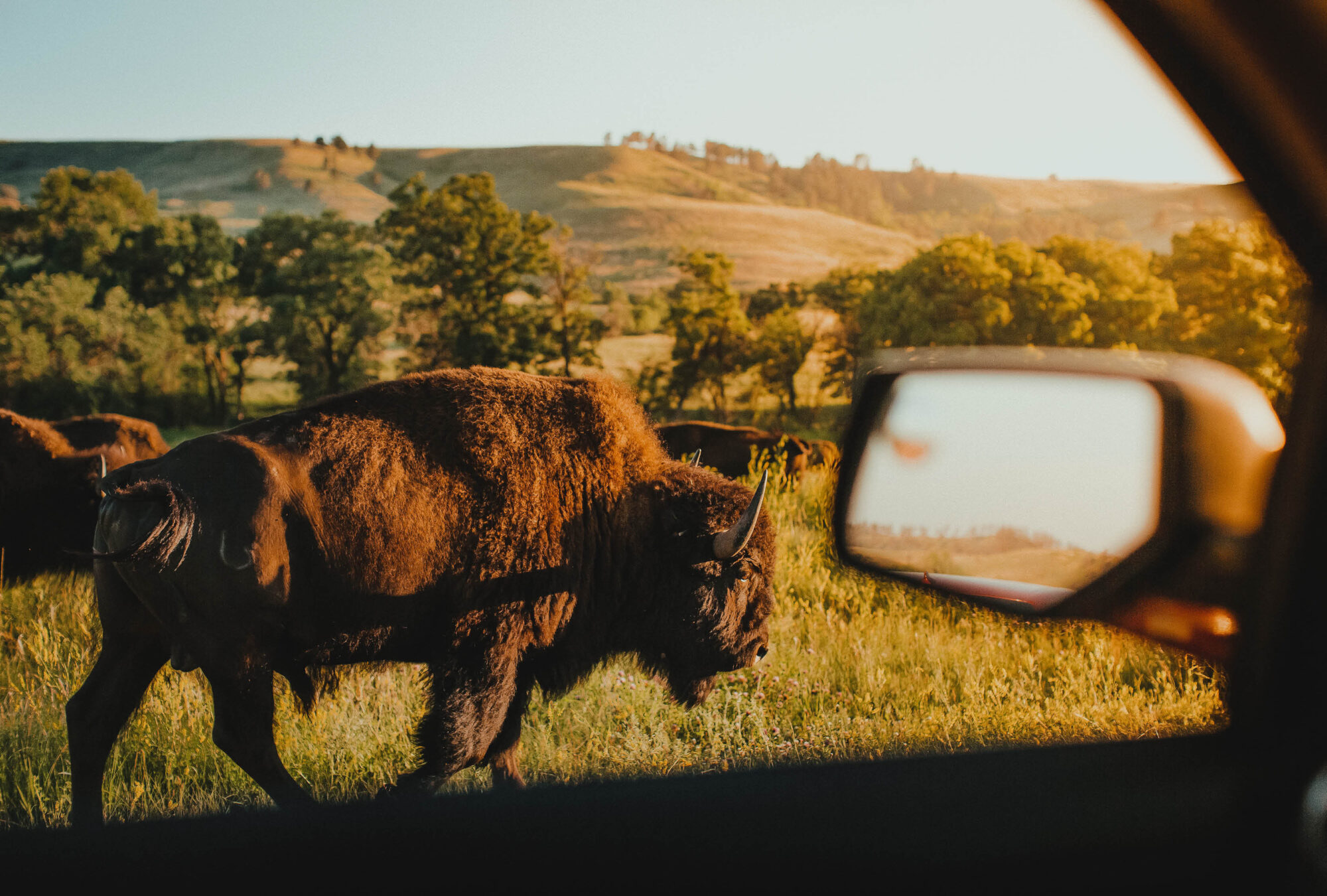 Travel South Dakota // Forever 605: South Dakota Stewardship